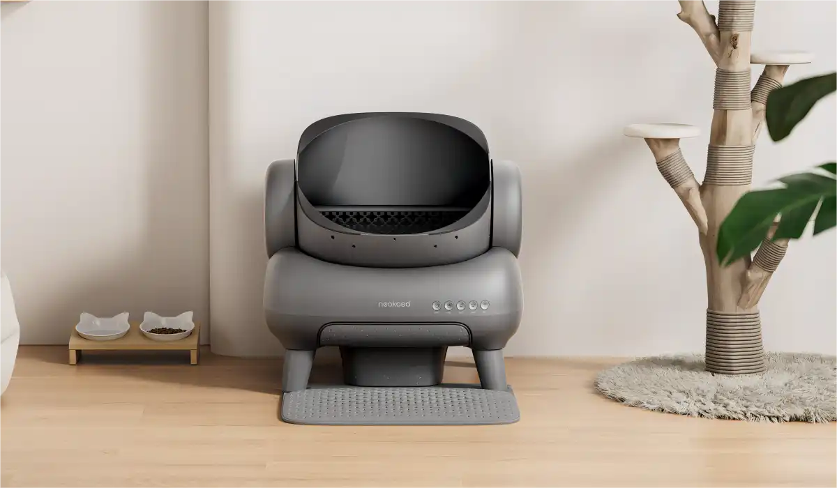 Automatic Cat Litter Boxes: Pros, Cons, Top Pick | Neakasa Official