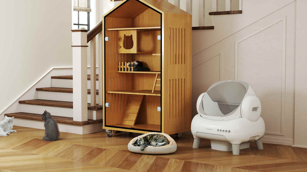 A well-designed cat room gives your cat a quiet place to rest and play ...