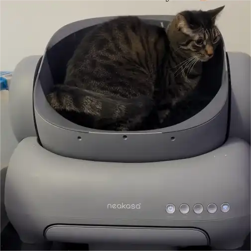 Neakasa M1 Open-top Self-cleaning Cat Litter Box