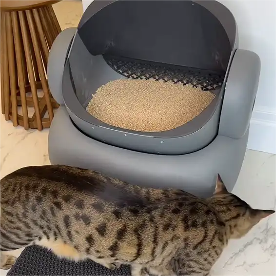 Neakasa M1 Open-top Self-cleaning Cat Litter Box