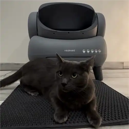 Neakasa M1 Open-top Self-cleaning Cat Litter Box
